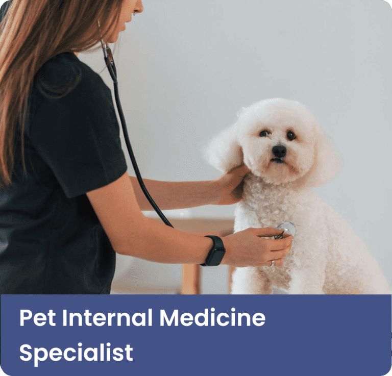 Home - Frenship Veterinary Clinic