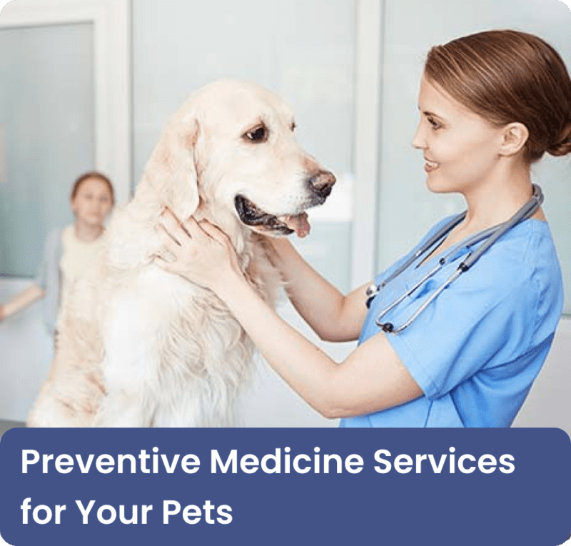 Home - Frenship Veterinary Clinic